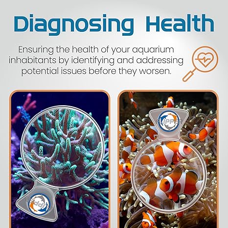 Deepsee Clear Viewer with 4" Lens – Coburg Aquarium