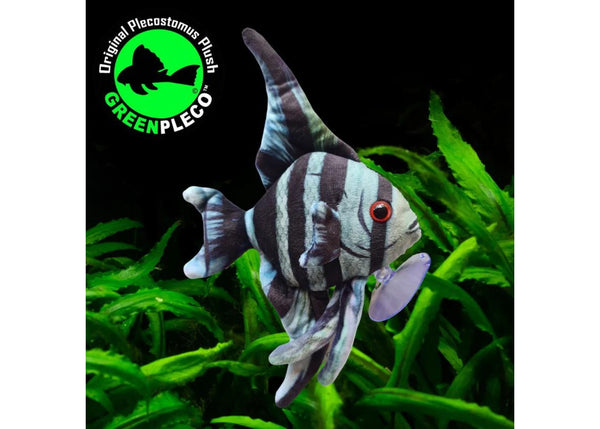Shop Fish Plushie - Angelfish Blue Zebra 13cm x 22cm – Coburg Aquarium