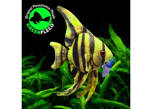 Shop Fish Plushie - Angelfish Rare 13cm x 22cm – Coburg Aquarium