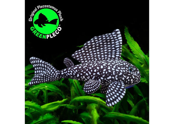 Shop Fish Plushie - Famous Pleco 26cm – Coburg Aquarium