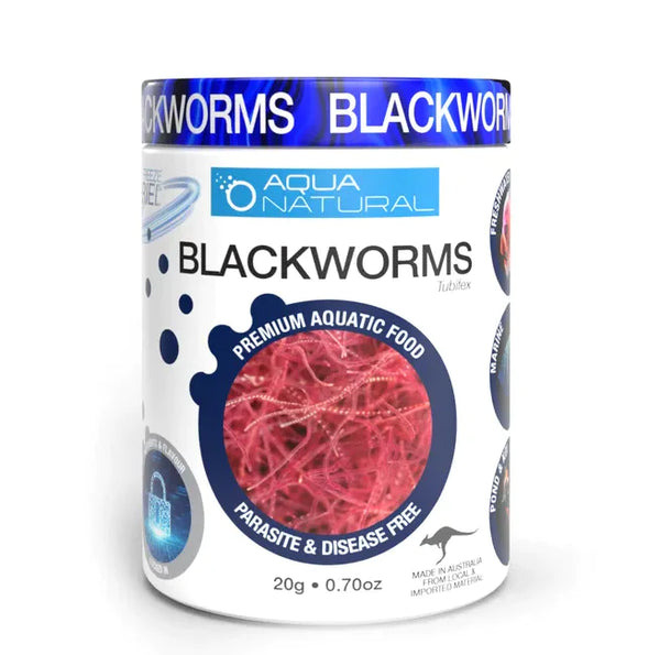 Aqua Natural - Freeze Dried Blackworm – Coburg Aquarium