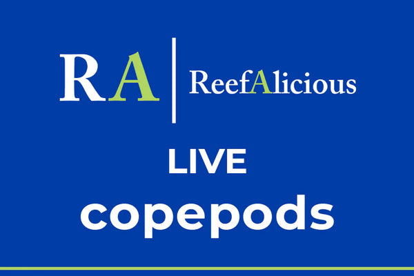 Shop Fish Food | Reefalicious - Live Copepods – Coburg Aquarium