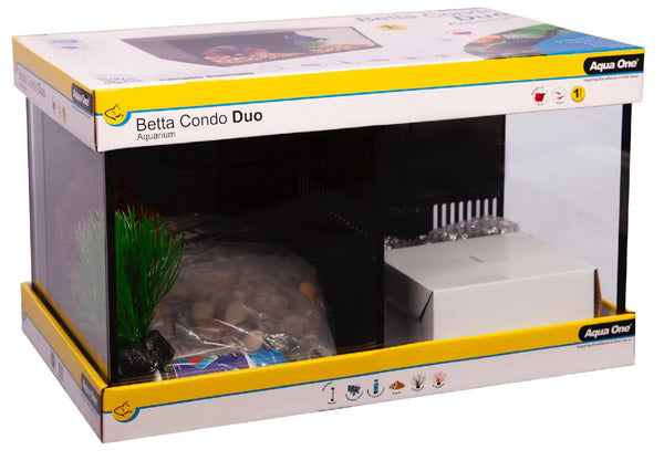 Betta Condo Duo 40x24x24cm – Coburg Aquarium