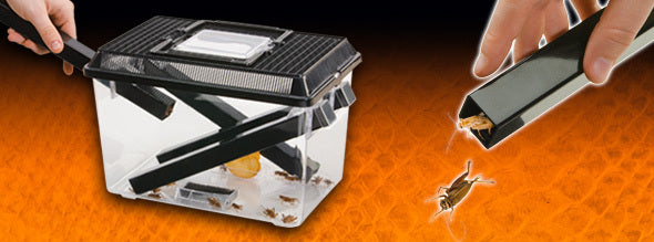 Exo Terra Cricket Pen – Coburg Aquarium