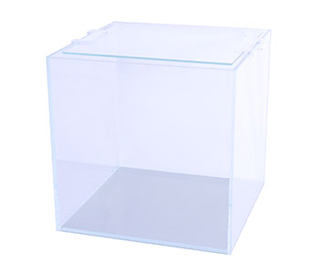Yi Ding Crystal Blue Cube – Coburg Aquarium